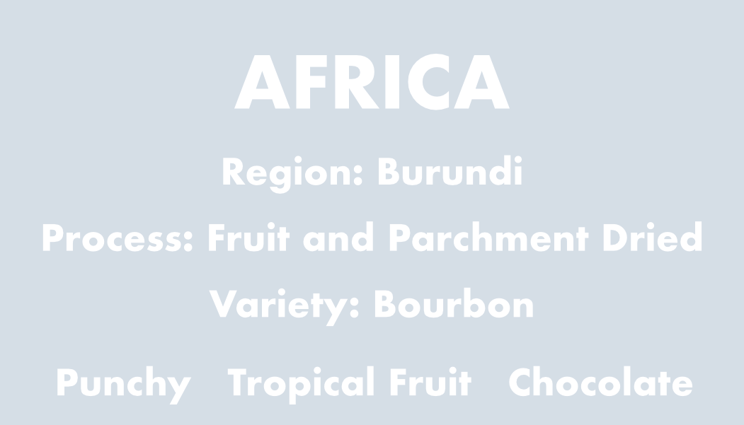 Africa Wholebean 250g – Coracle Coffee